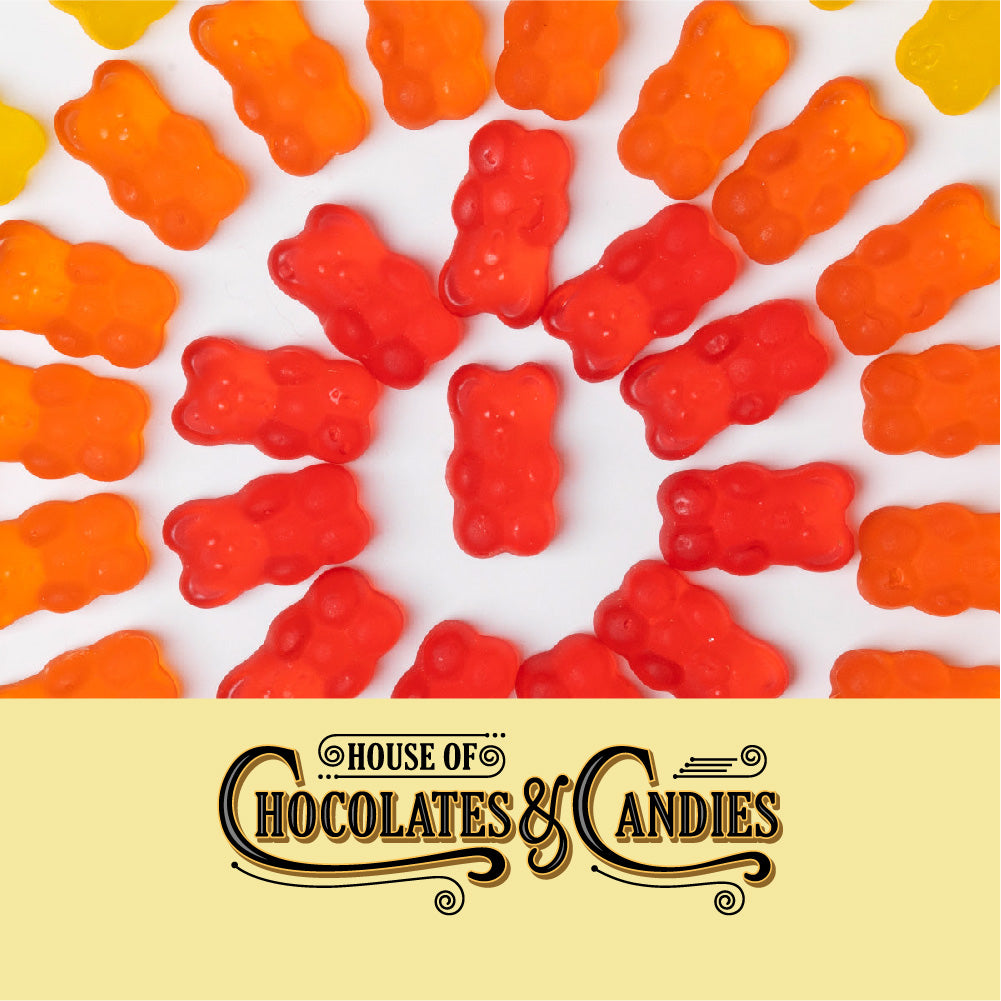 House Of Chocolates And Candies